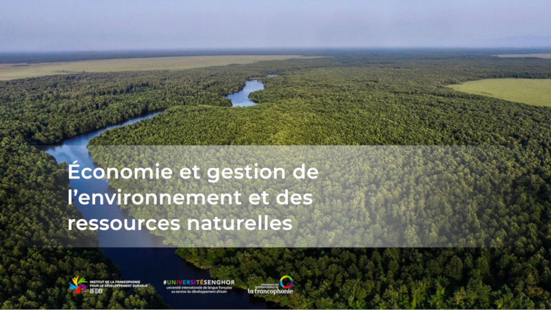 Économie de l'environnement et gestion des ressources naturelles ...